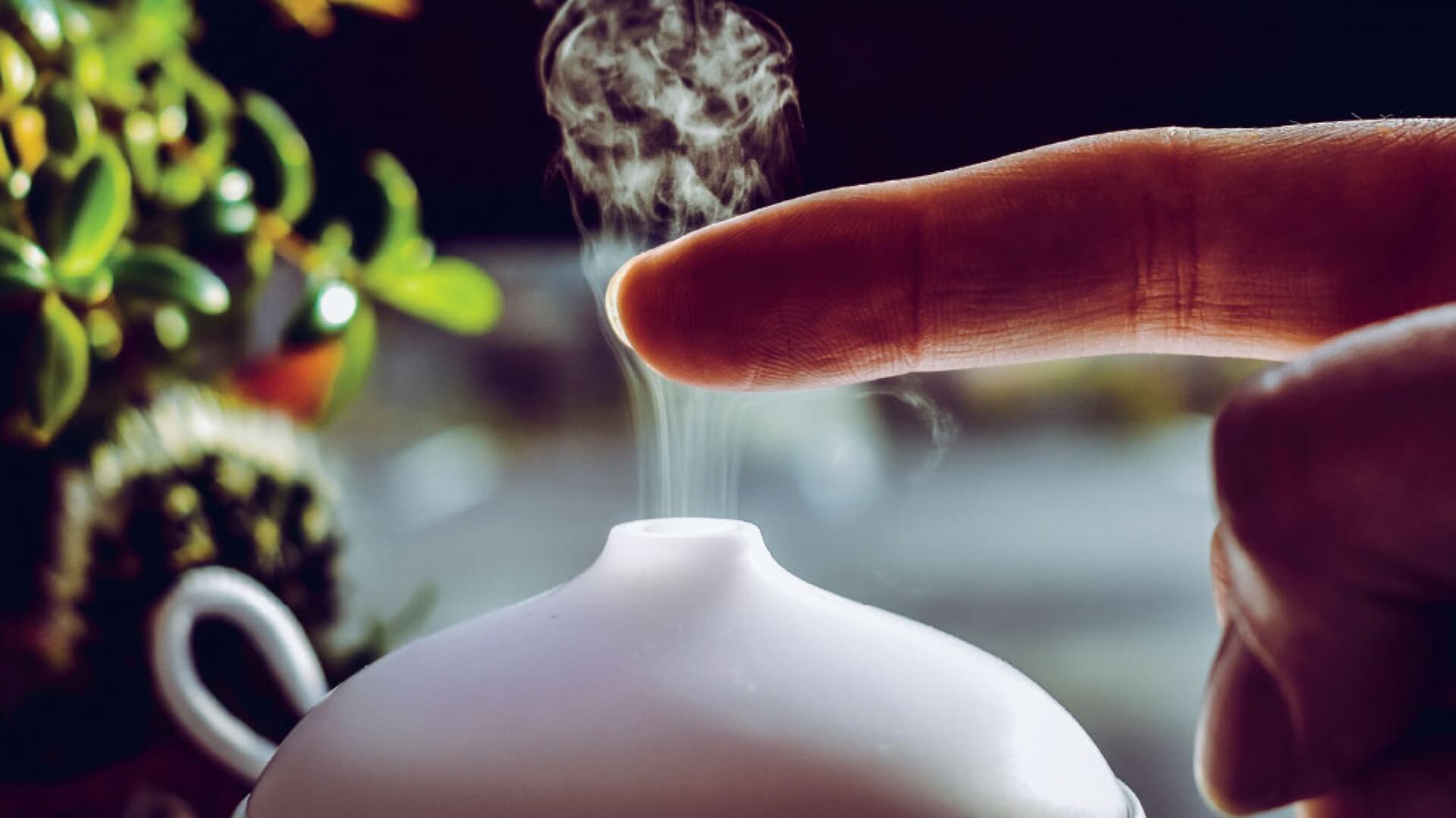 A sense for scents | The Drive Magazine