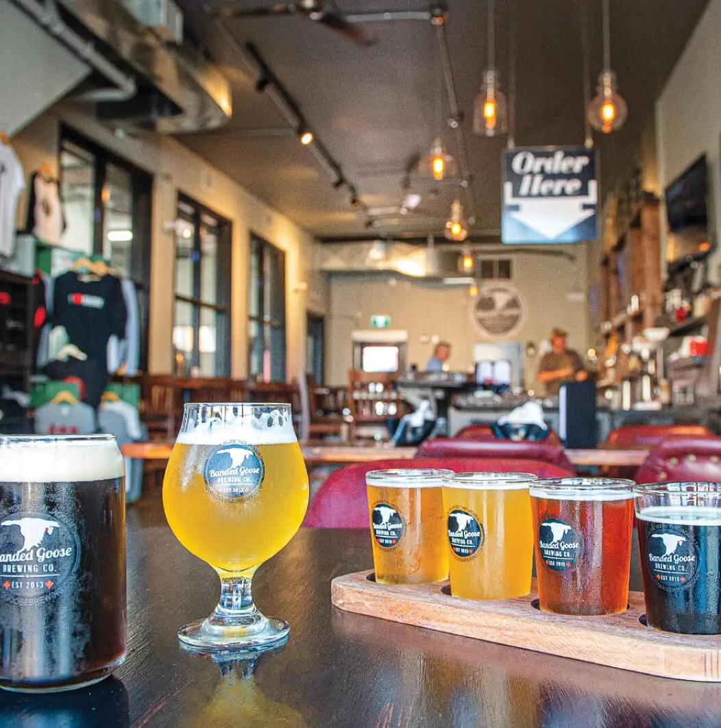 Windsor Craft Breweries | The Drive Magazine