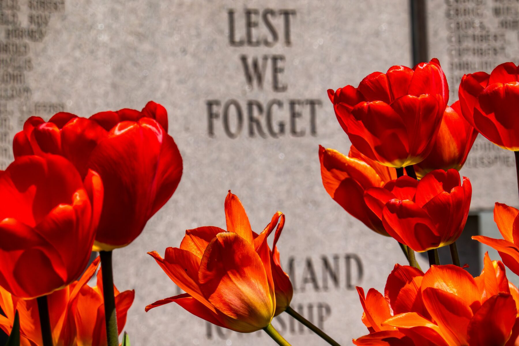 Windsor Honouring Veterans | The Drive Magazine